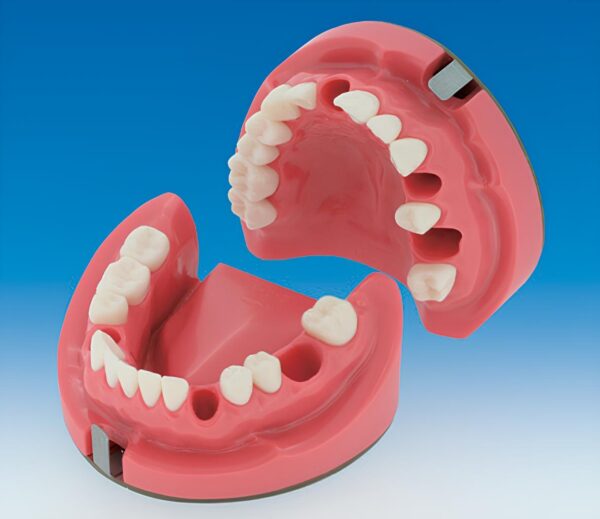 CON1002-UL-HD – Dental Nexus