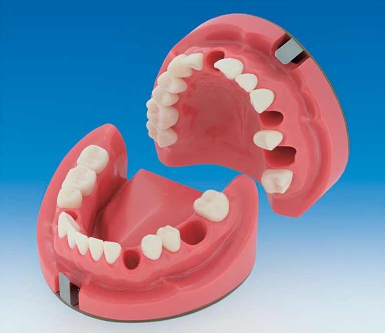 CON1002-UL-HD – Dental Nexus