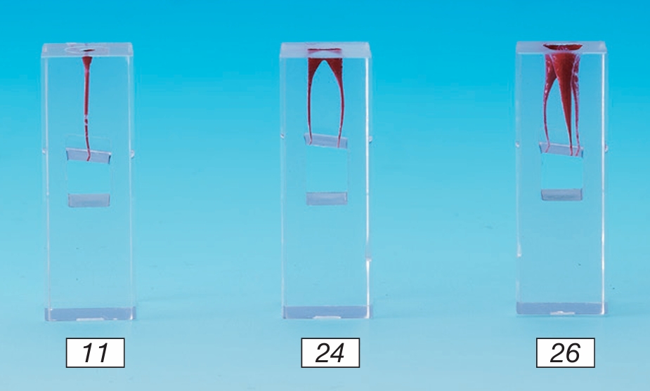 Root Canal Model (E-END3L Series) – Dental Nexus